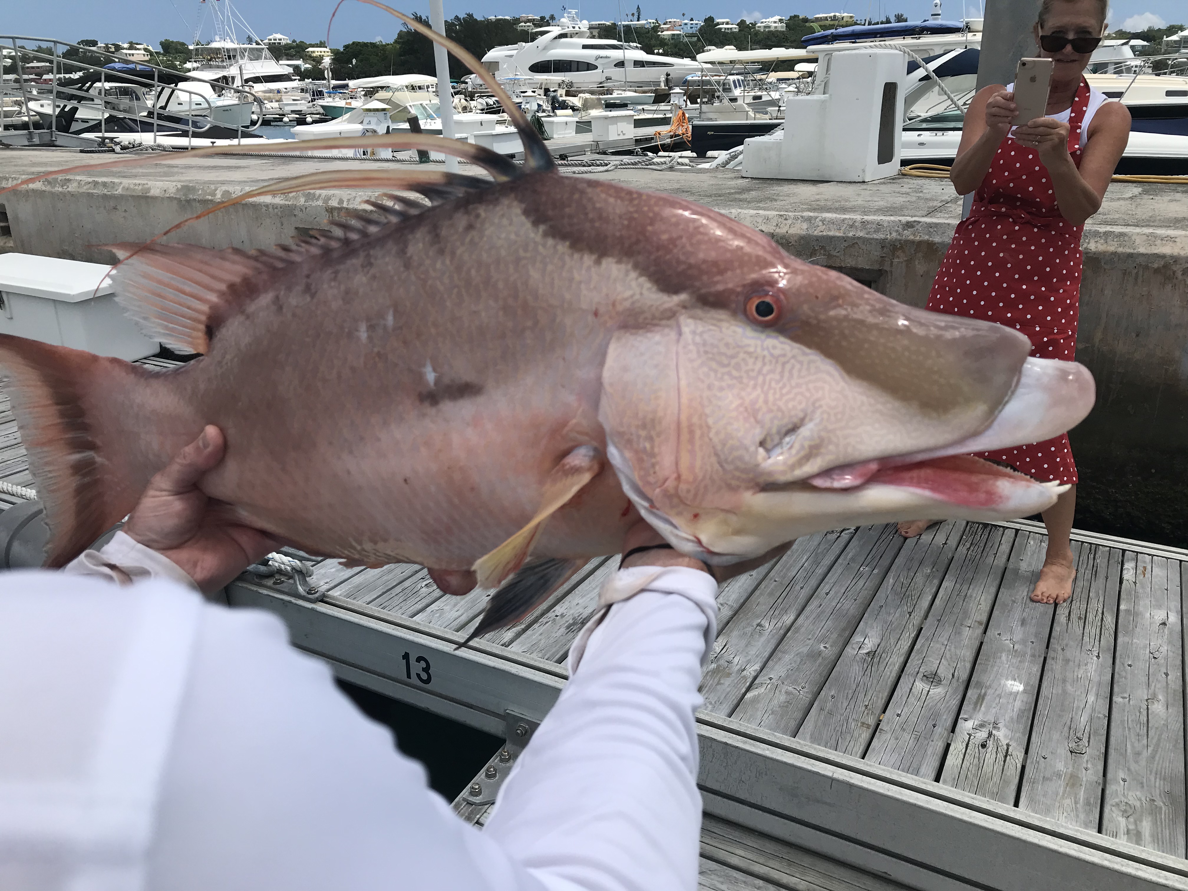 Last Known Position - Captain Charles "CP" Perry