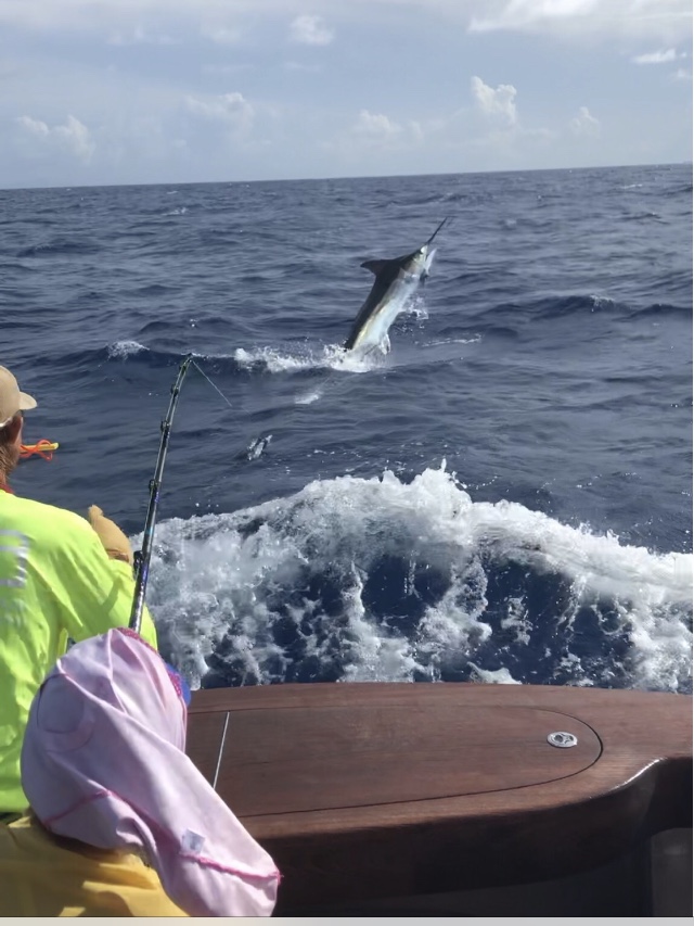 1 of 3 caught today - Captain Charles "CP" Perry